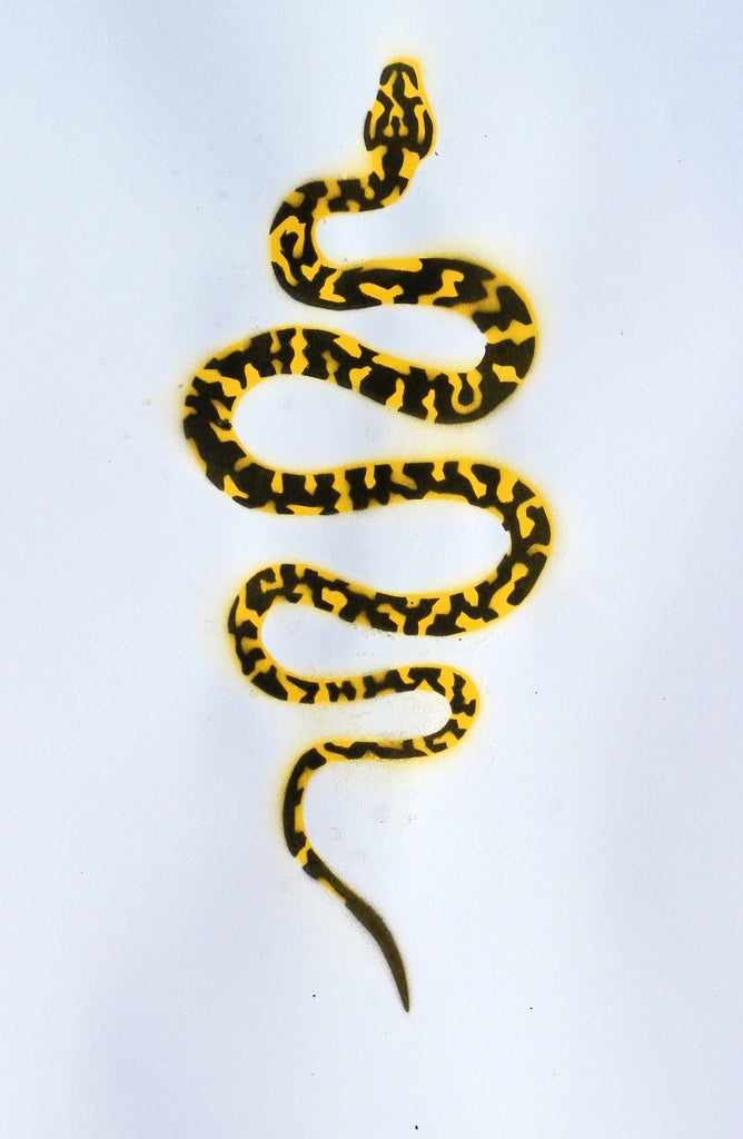 Snake Carpet Python unisex crew socks – Mennie Brand